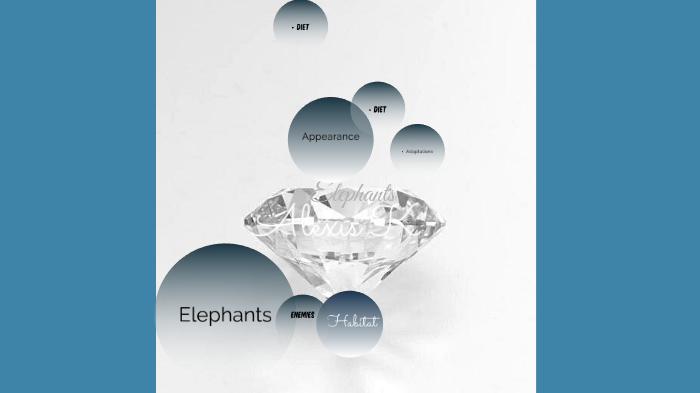 Elephants by Alexis Krell on Prezi
