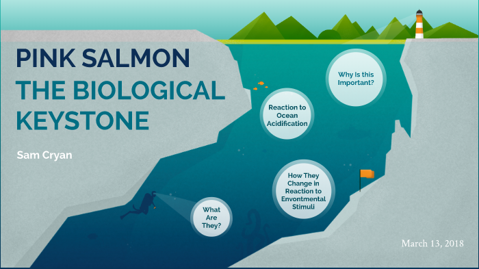 Pink Salmon, Environmental Indicators by Sam Cryan on Prezi