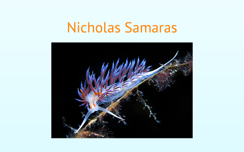 Nicholas Samaras by Harrison Bach on Prezi