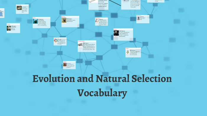 Evolution and Natural Selection Vocabulary by Kelly Woodworth