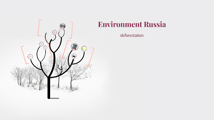 Environment Russia by on Prezi