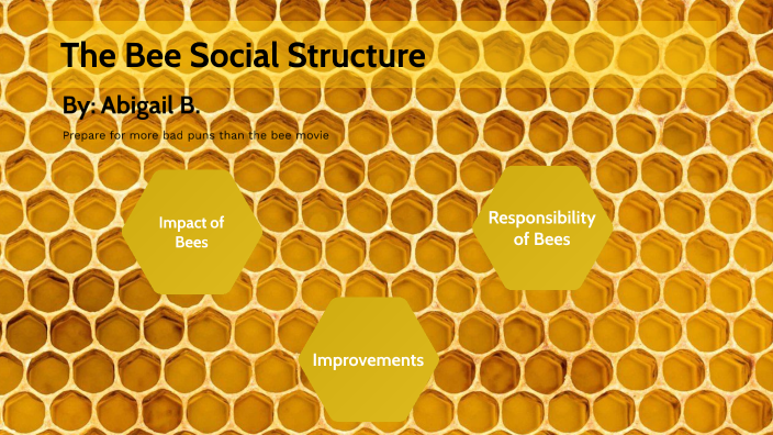The Bee Social Structure by Abigail Burkinshaw on Prezi