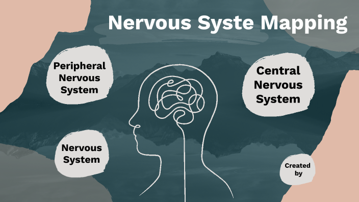 Nervous System Mapping by iva halacheva