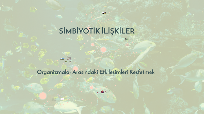 Exploring Symbiotic Relationships by ESRA KANBER on Prezi