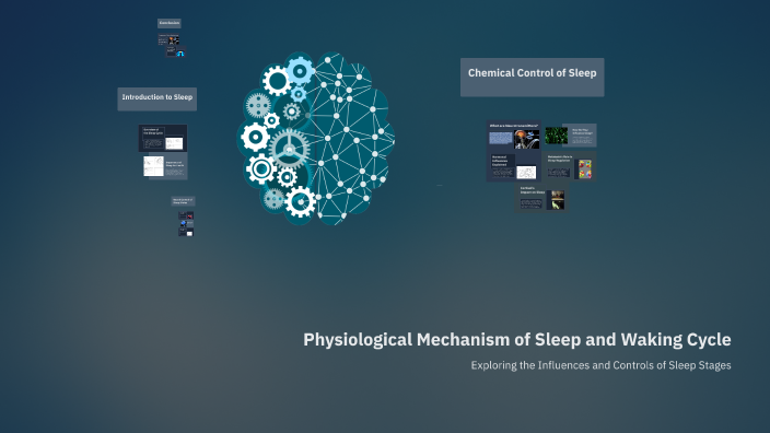 Physiological Mechanism of Sleep and Waking Cycle by Sanjana Devnath on ...