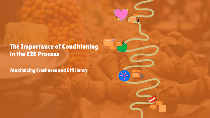 The Importance of Conditioning in the E2E Process by Sarah White on Prezi