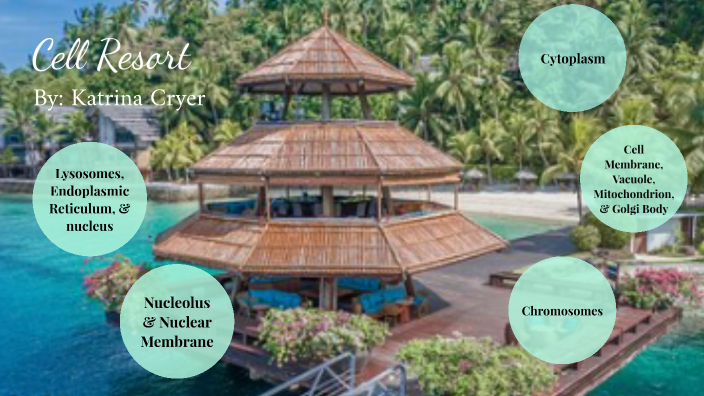 Cell Resort by Nicholas Cryer on Prezi