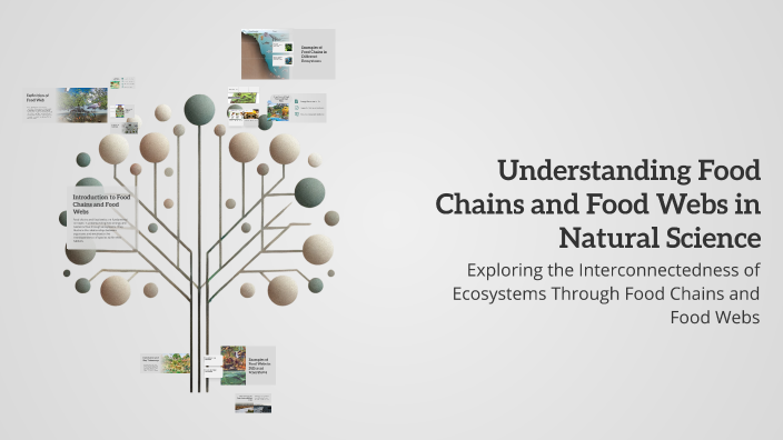 Understanding Food Chains and Food Webs in Natural Science by Wasia Ali ...