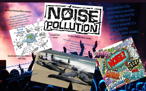 Noise Pollution by Amanda Dauer on Prezi