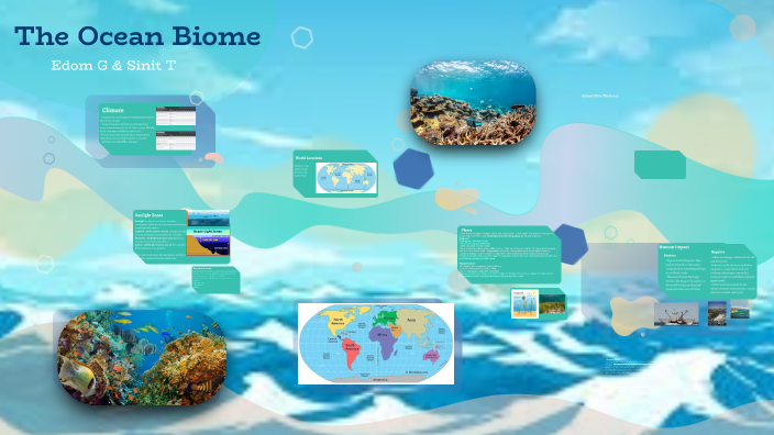 The Ocean Biome by Edom Gebreegziabher on Prezi