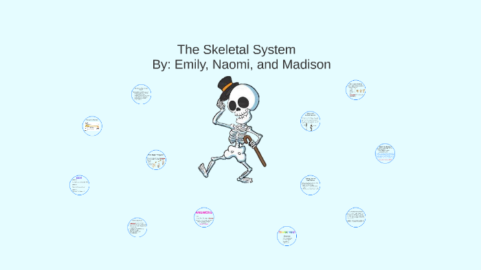 The Skeletal System by Emily S on Prezi