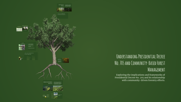 Understanding Presidential Decree No. 705 and Community-Based Forest ...