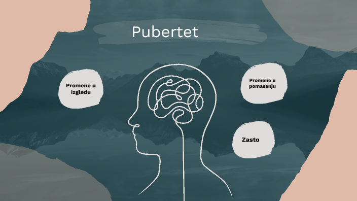 Pubertet by Boris Jevtic on Prezi