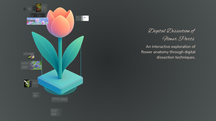Digital Dissection of Flower Parts by Mary Joy Atienza on Prezi
