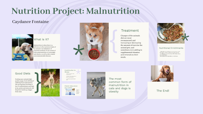 Nutritional Project by kaitlin house on Prezi