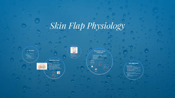 Skin Flap Physiology by on Prezi