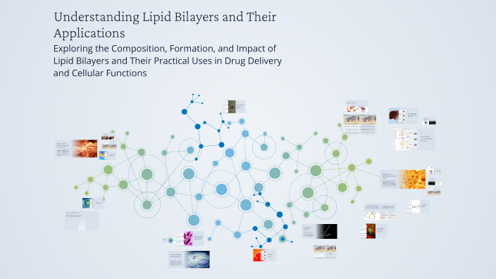 Understanding Lipid Bilayers and Their Applications by MAGPANTAY, JENNY ...