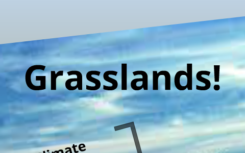 Grasslands by Lily Ramey on Prezi