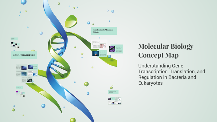 Molecular Biology Concept Map by kay themene on Prezi