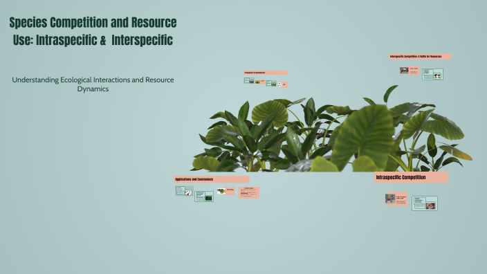 Species Competition and Resource Use: Intraspecific, Interspecific, and ...