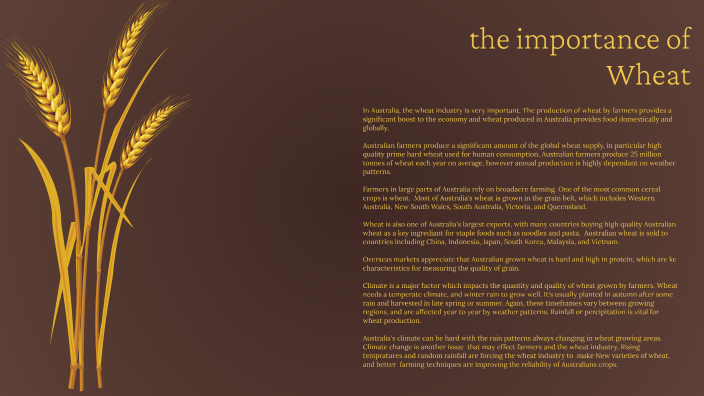 The Journey of Wheat by archie bartholomew on Prezi