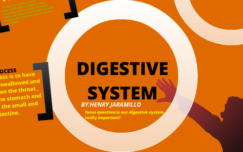 digestive system by hjaramillo11p3 lions on Prezi