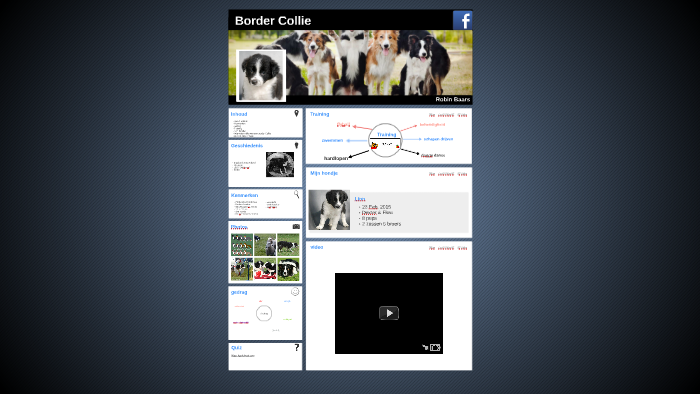 Border Collie by Robin Baars on Prezi