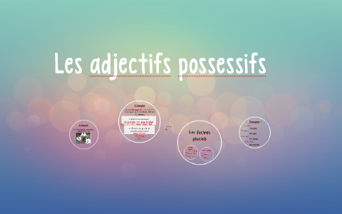 Les adjectifs possessifs by Susan Samay on Prezi