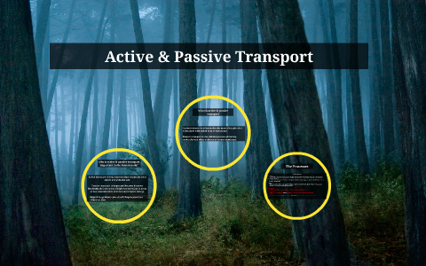 Active & Passive Transport by gloria clayton on Prezi