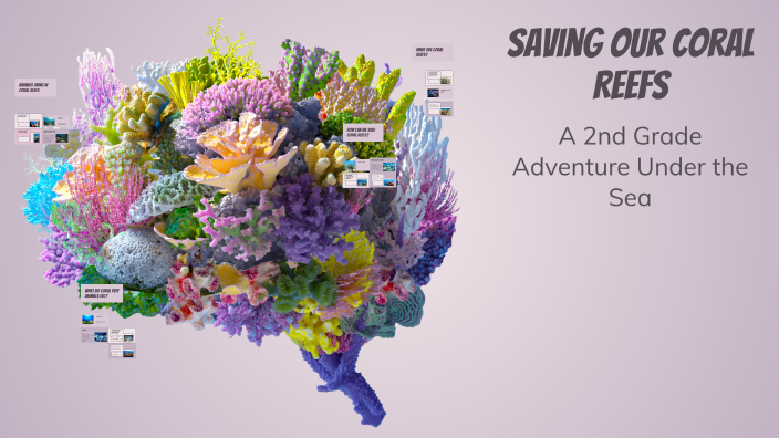 Saving Our Coral Reefs by Brandi Benner on Prezi