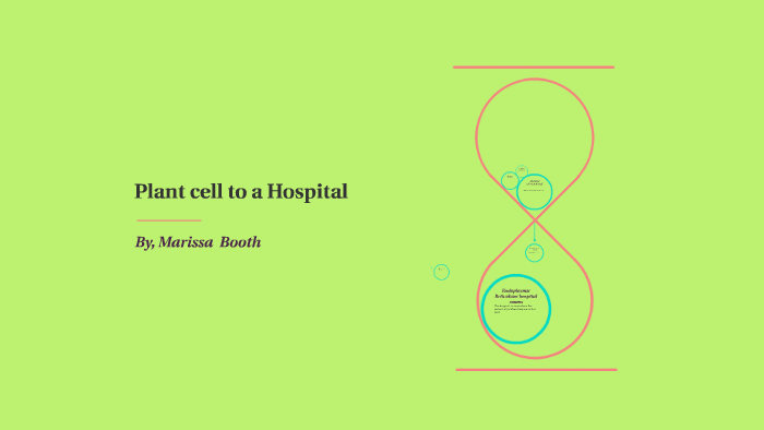 plant cell to a hospital by marissa booth on Prezi
