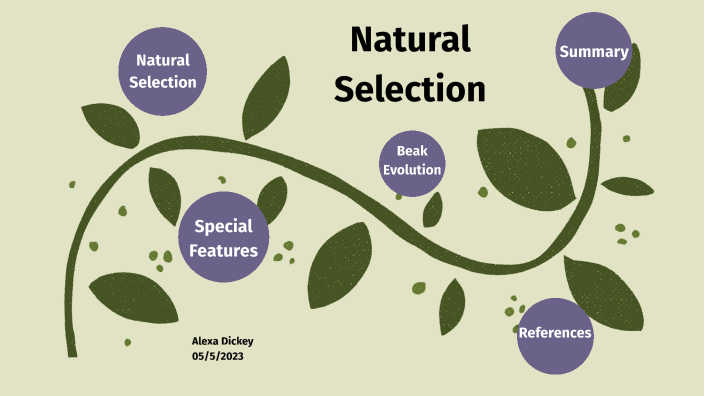 Conceptual Diagram Natural Selection by alexa dickey on Prezi