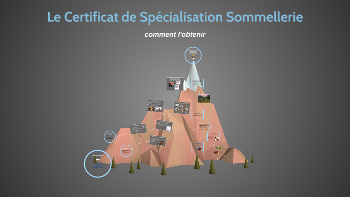 Certificat de Spécialisation Sommellerie by Christine FACCA on Prezi