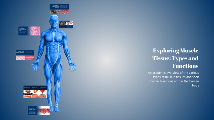 Exploring Muscle Tissue: Types and Functions by Rachel Cook on Prezi
