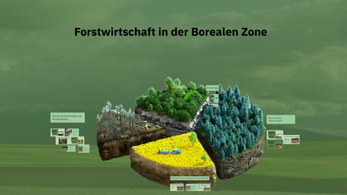 Forstwirtschaft in der Borealen Zone by Tom Christophersen on Prezi