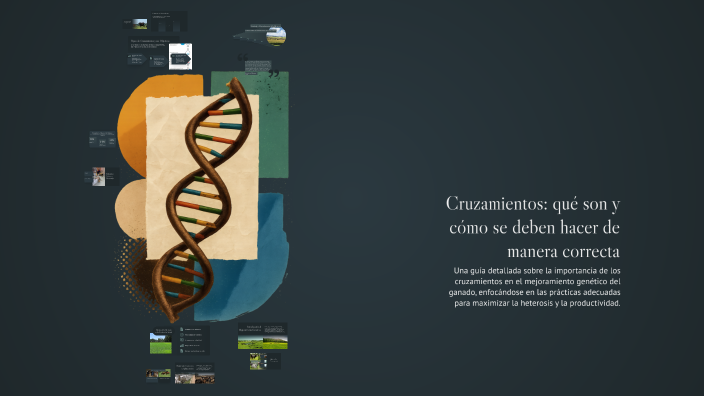 Cruzamientos: qué son y cómo se deben hacer de manera correcta by ...
