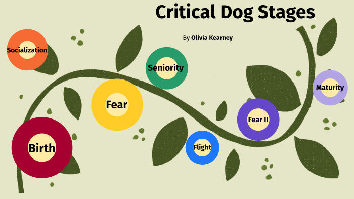 Dog Stages by olivia kearney on Prezi