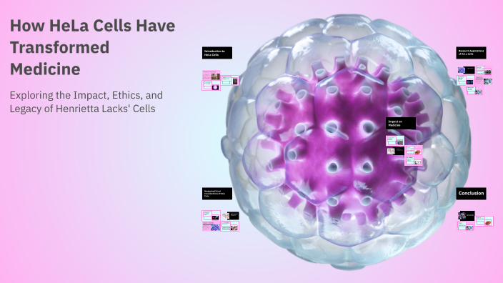 How HeLa Cells Have Transformed Medicine by Dhruvi Mistry on Prezi