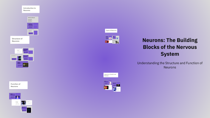 Neurons: The Building Blocks of the Nervous System by suliman alshili ...
