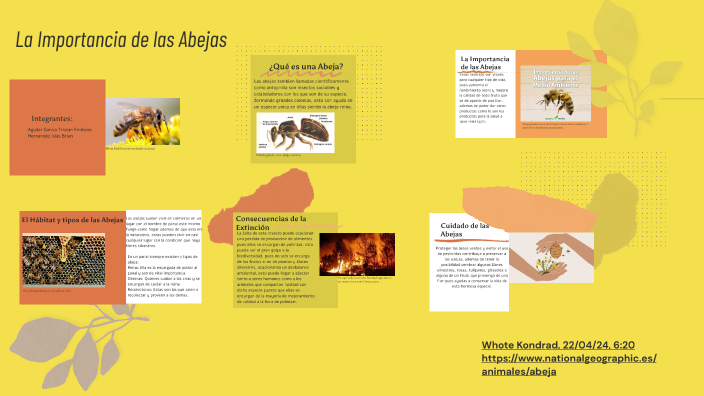 La Importancia de las Abejas by Tristan Emiliano Aguilar Garcia on Prezi