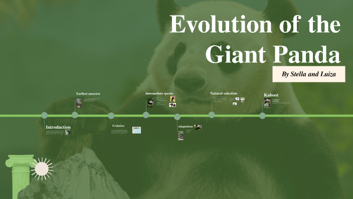 Panda Evolution by Stella Vorcaro on Prezi