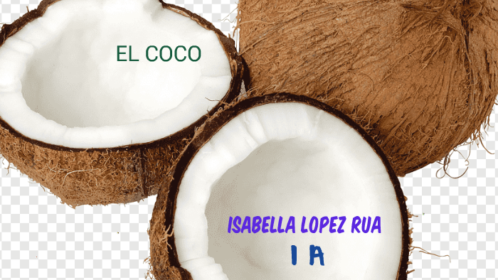 EL COCO by nataly lopez rua on Prezi