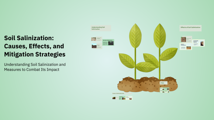 Soil Salinization: Causes, Effects, and Mitigation Strategies by waqarahmad khan on Prezi