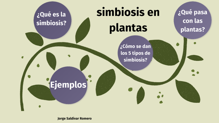 simbiosis en plantas by Jorge Saldivar on Prezi