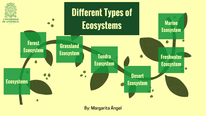 Different Types of Ecosystems by Margarita Ángel on Prezi