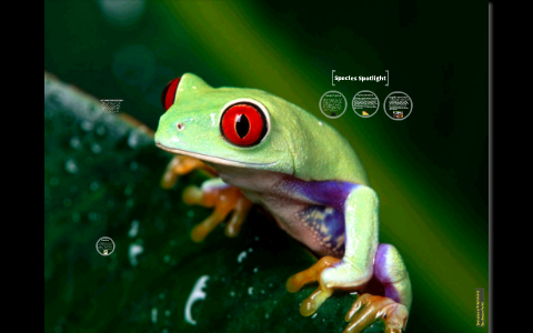 Amphibian Evolution by Hector Perez on Prezi