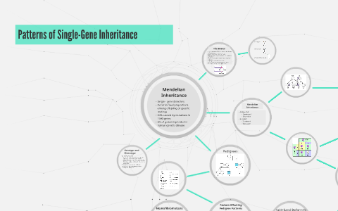 Mendelian Genetics by Audrey Merriam on Prezi Next