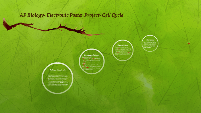 AP Biology- Electronic Poster Project- Cell Cycle by Joanna Guerrero on ...