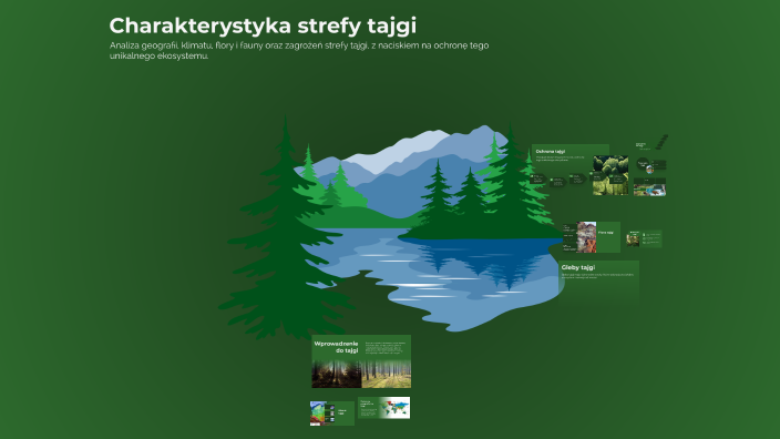 Charakterystyka strefy tajgi by Słojownik Aleks on Prezi