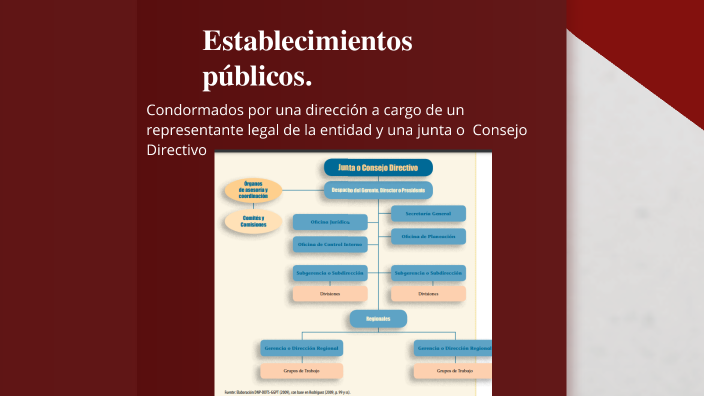 Elementos básicos del estado Colombiano by Nicole Suarez on Prezi